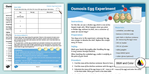 Cell Transport Osmosis Lab for 6th-8th Grade