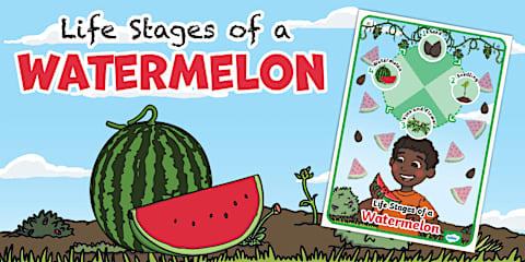 Grade 1 LS - Term 2 - Healthy Habits and Food- Poster: Good Habits(CAPS ...