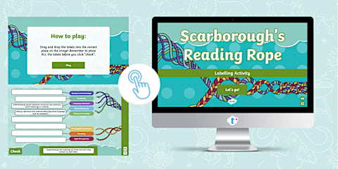 Exploring Scarborough's Reading Rope: A Teacher's Guide