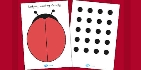 Blank Ladybird Template Activity