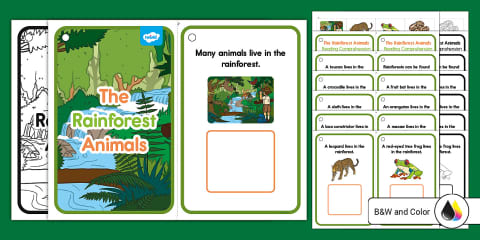 Layers of the Rainforest PowerPoint for K-2nd Grade
