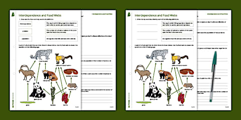 Interdependence Worksheet