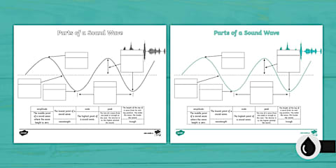 Parts of a Sound Wave Labelling Activity