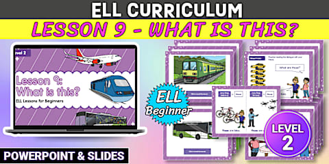 ELL Curriculum: Level 4, Lesson 11 How Many Are There? Worksheet
