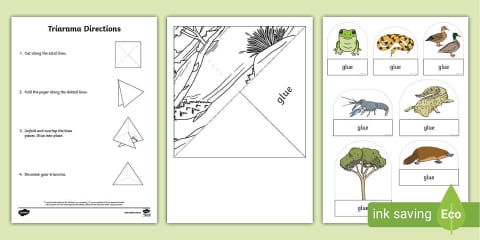 Australian Wetland Animal Fact Sheets