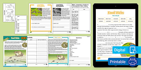 The Interdependence of Food Webs Worksheet for 4th-5th Grade