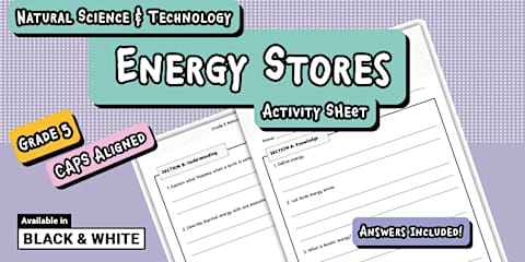 Grade 5 - Natural Sciences and Technology - Term 3 - Activity Sheet ...