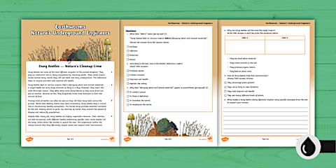 EQAO Grade 6 Math and Literacy Practice Pack
