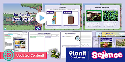 Plants and Light Differentiated Worksheets
