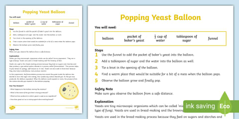 Investigating Yeast Worksheet