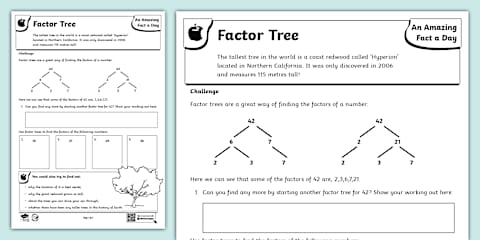 Factors and Multiples Poster