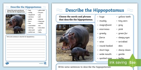 Hippo Info Worksheet