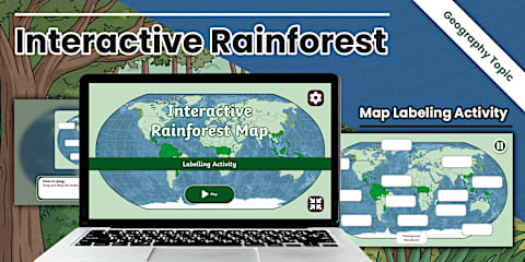 The Effects of Deforestation on the Amazon Rainforest Activity