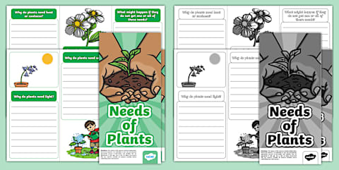 KS1 Needs of Plants Fact File Template