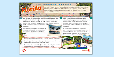 Florida State Symbols Photo Display Poster