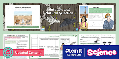 Natural Selection Choice Board for 6th-8th Grade