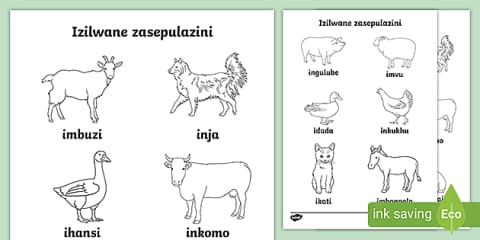 Back to School Word Search – Usesho Lwamagama Lokubuyela Esikoleni