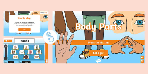 My Body Interactive Matching Activity