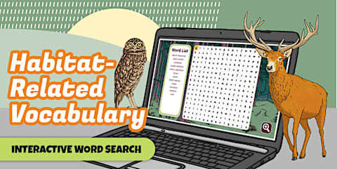 The Habitat Expert: Habitat and Food Chain Leaflet Project Rubric