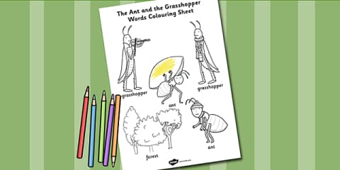 The Ant and the Grasshopper Word Display Posters - grasshopper