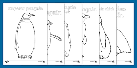 Penguin Dot-to-Dot Activity