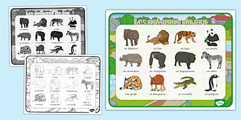 French: Zoo Animals PowerPoint