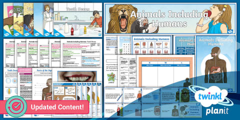 Geography: All Around the World Topic Ideas - Year 4 Lesson
