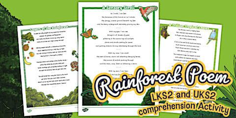 The Effects of Deforestation on the Amazon Rainforest Activity