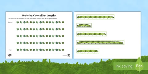 Measuring Snakes Activity