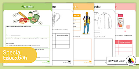 Life Skills: Financial Literacy Functional Math for Special Education
