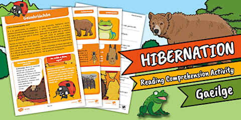 Primary Language Curriculum Fifth and Sixth Class Writing Planning and ...