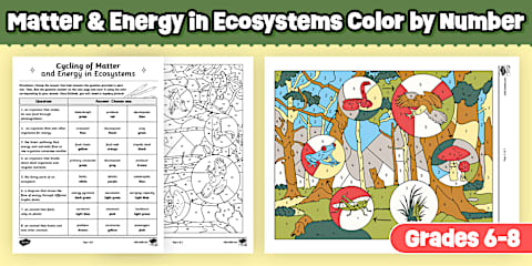 Sixth Grade Water Cycle Color by Number Activity