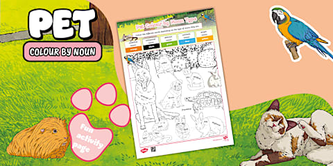 River Read, Draw and Colour Activity