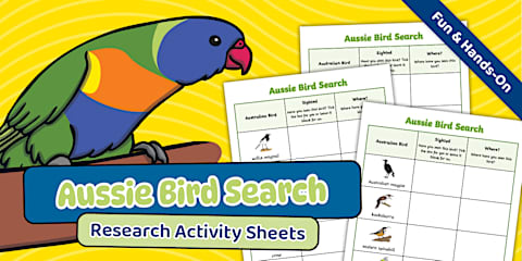 Aussie Bird Spotting Activity