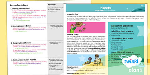 Art: Insects Unit: Drawing Insects in Pencil LKS2 Lesson Pack 1