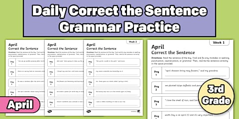 Third Grade February Daily Correct the Sentence Grammar Practice