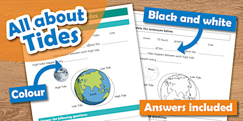Tides Fact Worksheet