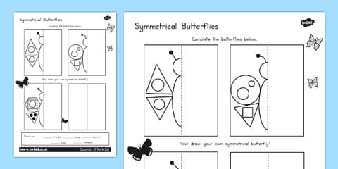 Symmetry Butterfly Painting Activity