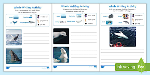 Blue Whale Postcards