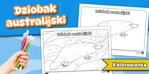 Cykl życia fasoli | Plakaty | Edukacja przyrodnicza