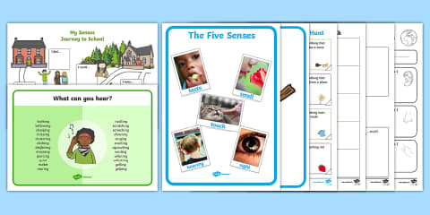 Five Senses Peg Cards