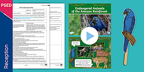 Raising Awareness About Amazon Animals Plan and Pack