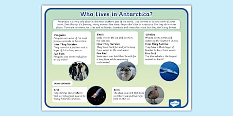 KS2 Antarctica Hexagon Writing Template