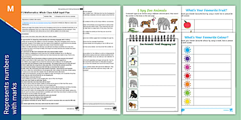 EYFS Maths Jungle Animals Adult Input Plan and Resource Pack