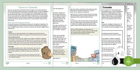 Cachalot Fact File