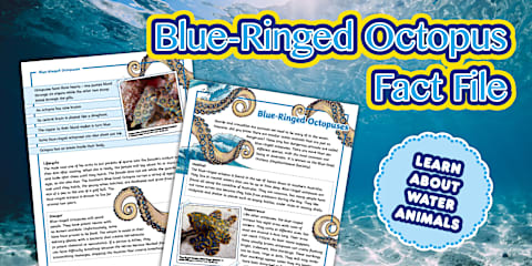 Australian Frogs Fact Files