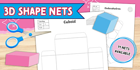Nets of 3D Objects Worksheet - Primary Resource