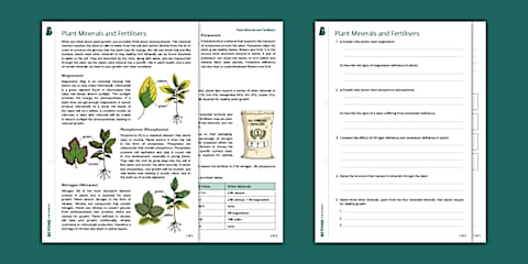 Plant Minerals and Deficiencies Cut and Stick