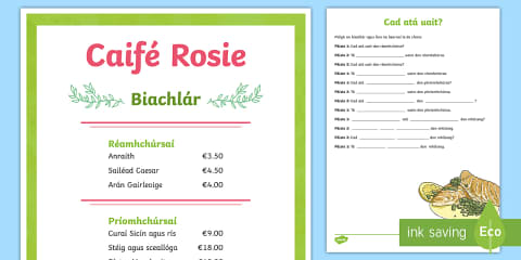 Biachlár - Reading and Questions Worksheet Gaeilge