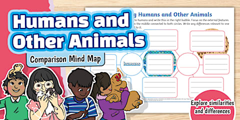 Australian Animal Footprint Matching Game